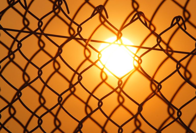 Blog - Janette Goodman